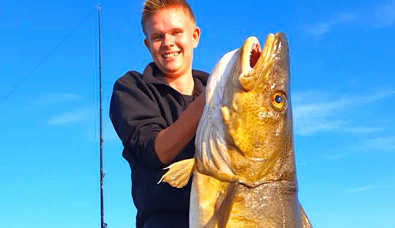 Monstertorsk på 35 kg, måske verdens længste