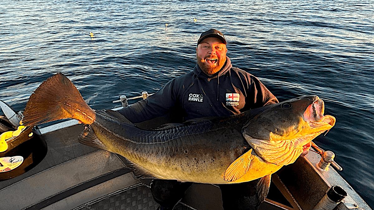 Massiv stor-torsk – verdens største sommertorsk - Smaabaadsnyt - alt om ...